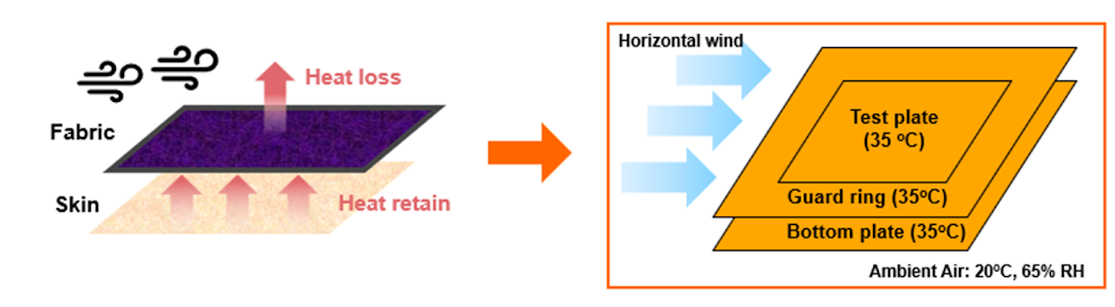 Empowering Seniors Through Innovative, Sustainable and Functional ...