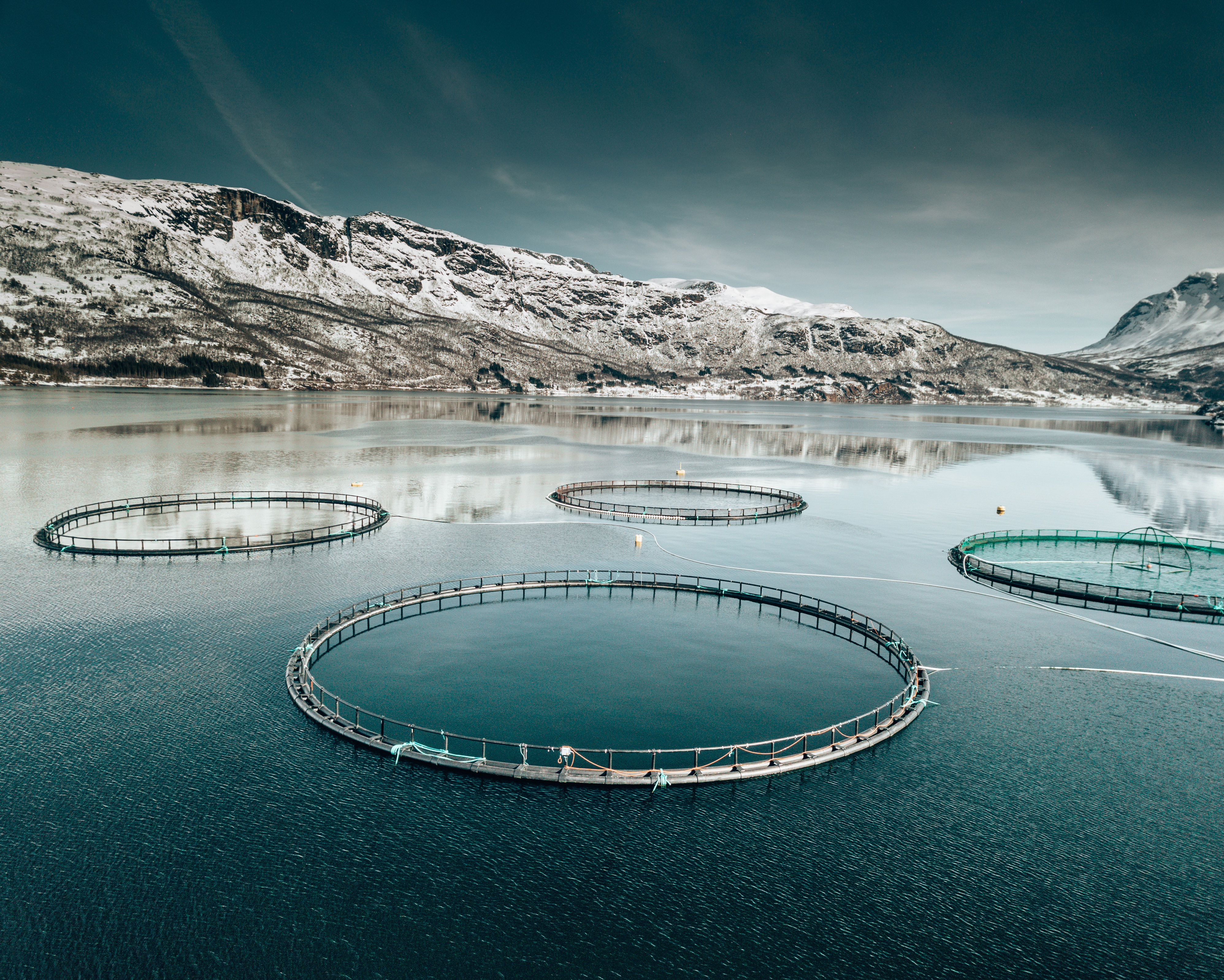 À propos de SGS | SGS France