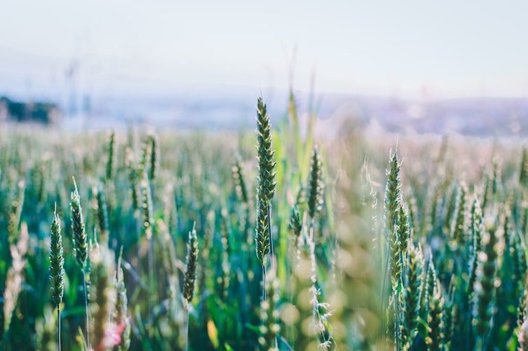 Nature | SGS Sri Lanka