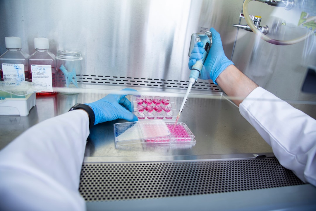 Cell and Gene Therapies | SGS