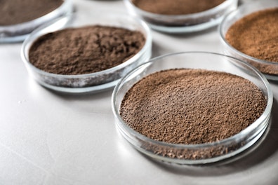 Our SGS Agri Food Laboratory in Maitland Is Now Gafta Approved for ...