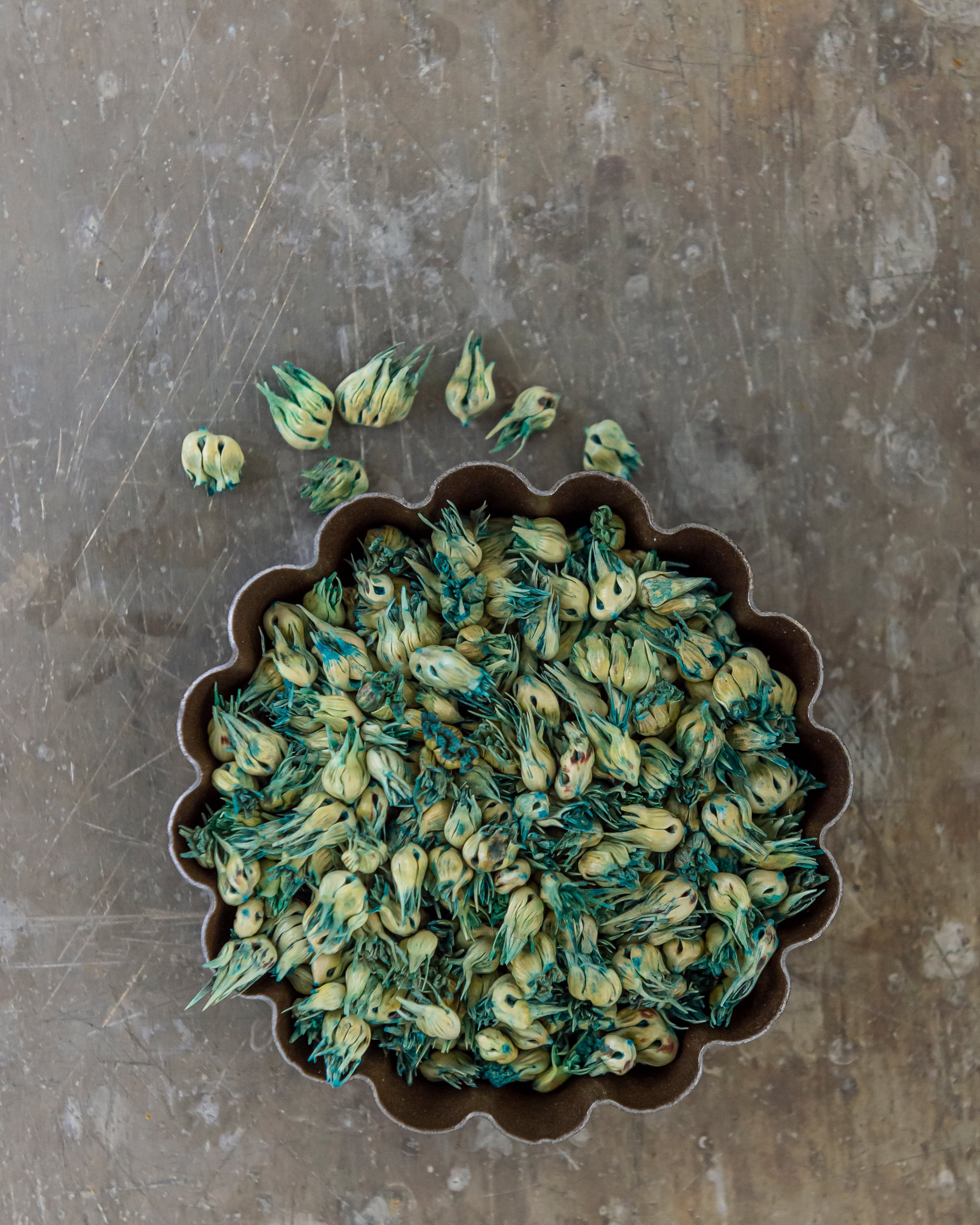 Seed Research & Development