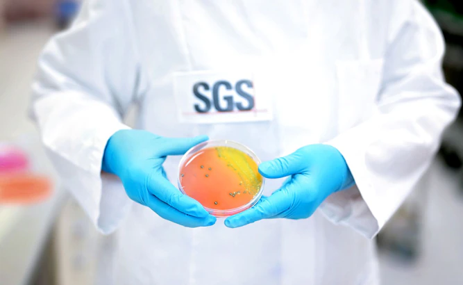 Testing & analysis | SGS India