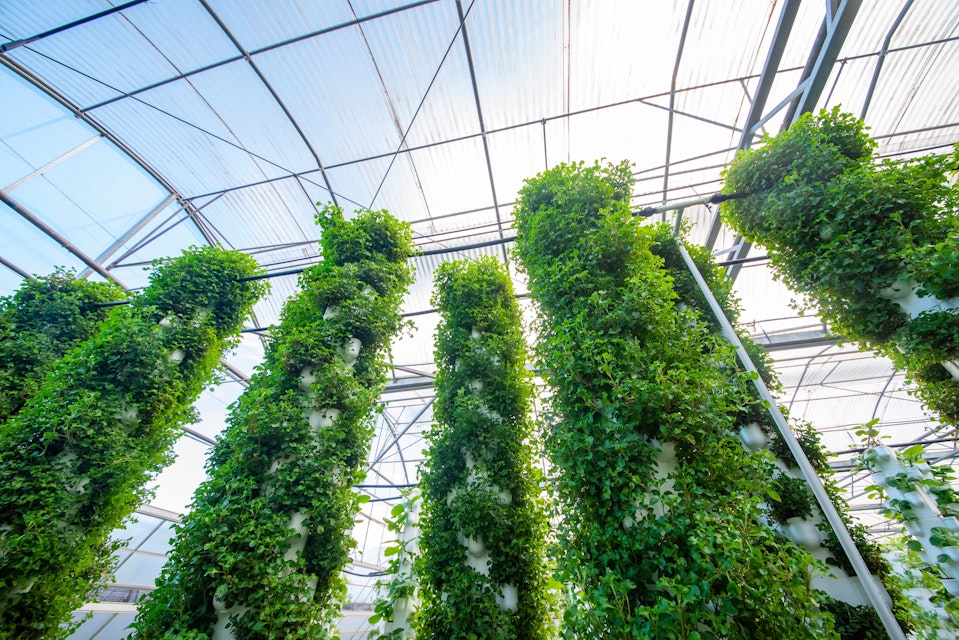 ISO 14068 Verification – GHG and Climate Change Management – Carbon ...