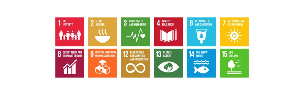 Core ISO Standards – the Cornerstones of Successful Businesses | SGS ...