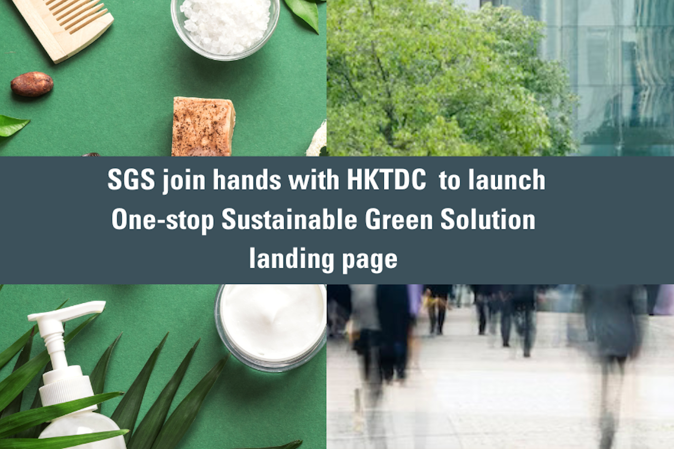 SGS One-stop Sustainable Green Solution landing page successfully ...