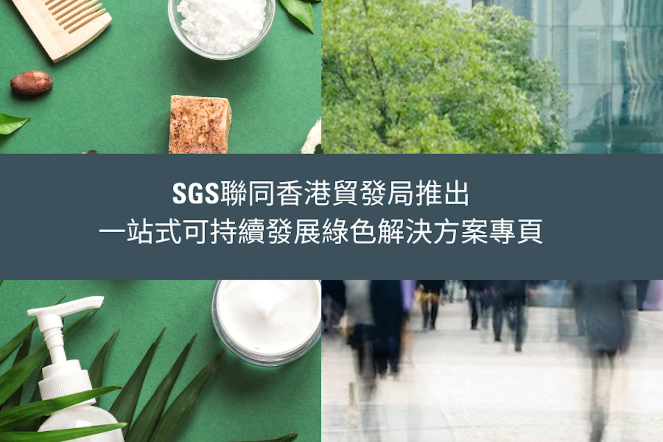 SGS 一站式可持續發展綠色解決方案專頁正式登陸香港貿易發展局之貿發網採購平台 | SGS Hong Kong, China