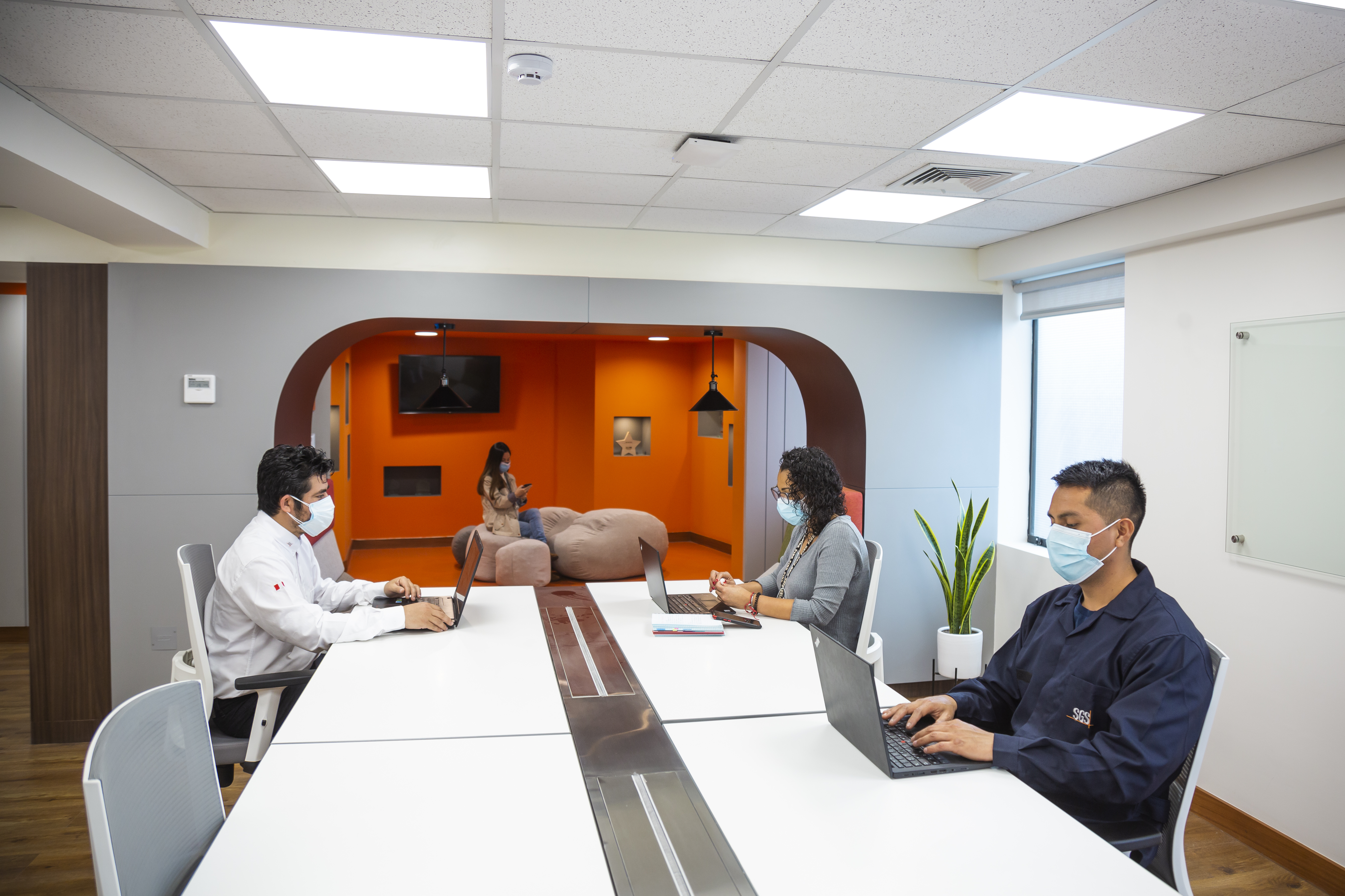 SGS Peru | SGS es líder mundial en inspección, verificación, ensayos y ...