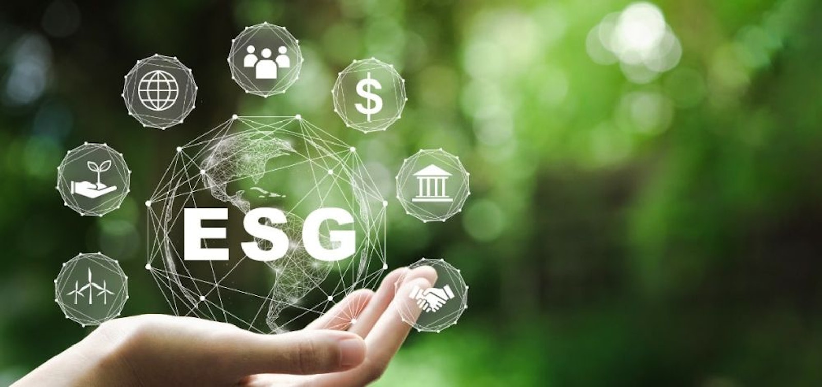 ¿Por qué debes integrar los criterios ESG en tu empresa? | SGS Peru