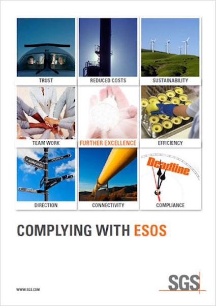 Complying with ESOS Guidance Pack | SGS Australia