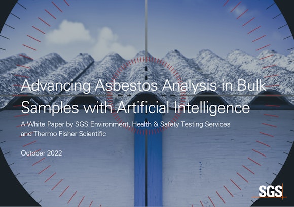 Advancing Asbestos Analysis in Bulk Samples with Artificial ...