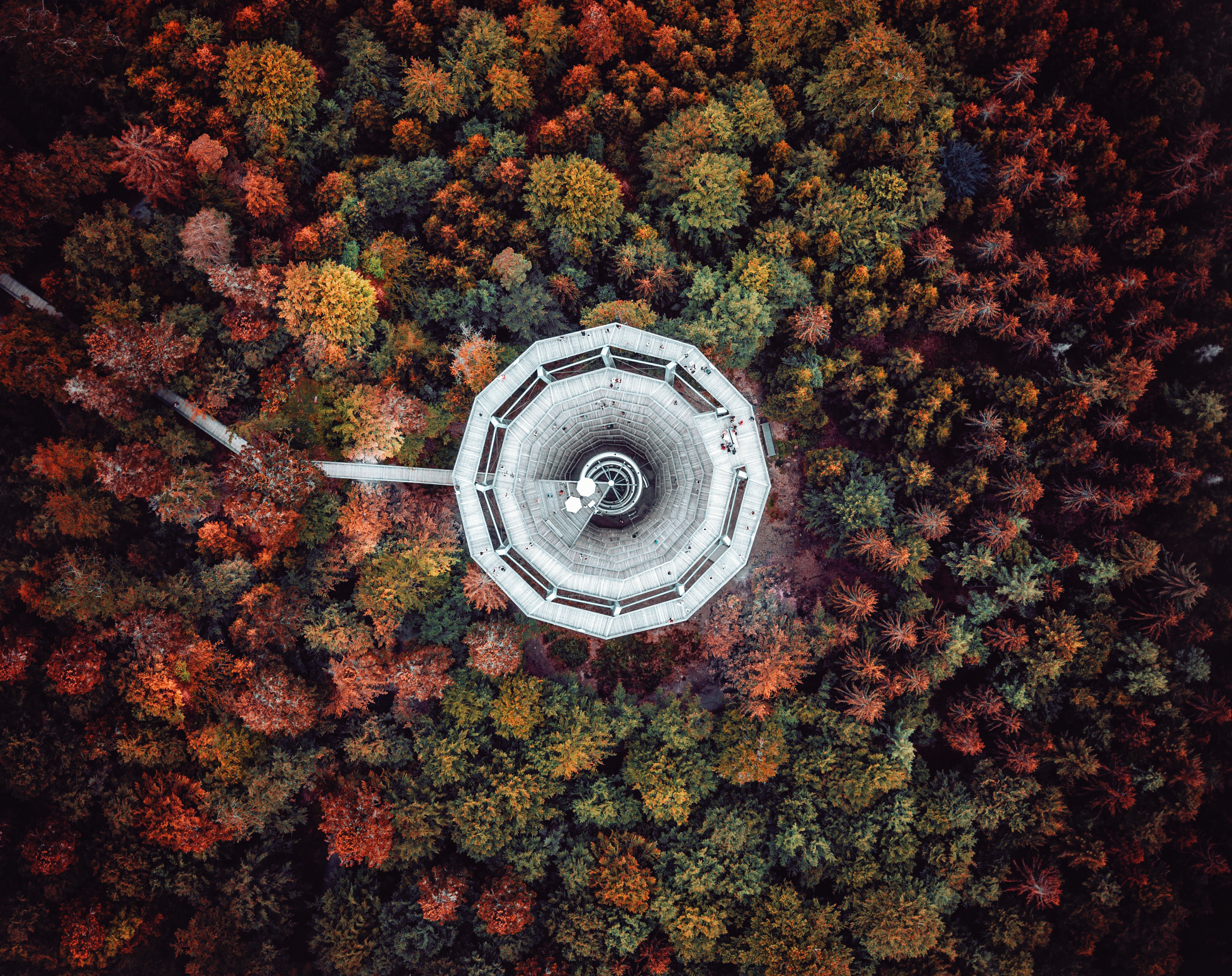 ISO/FDIS 14001:2026 – Environmental Management Systems – Introduction ...