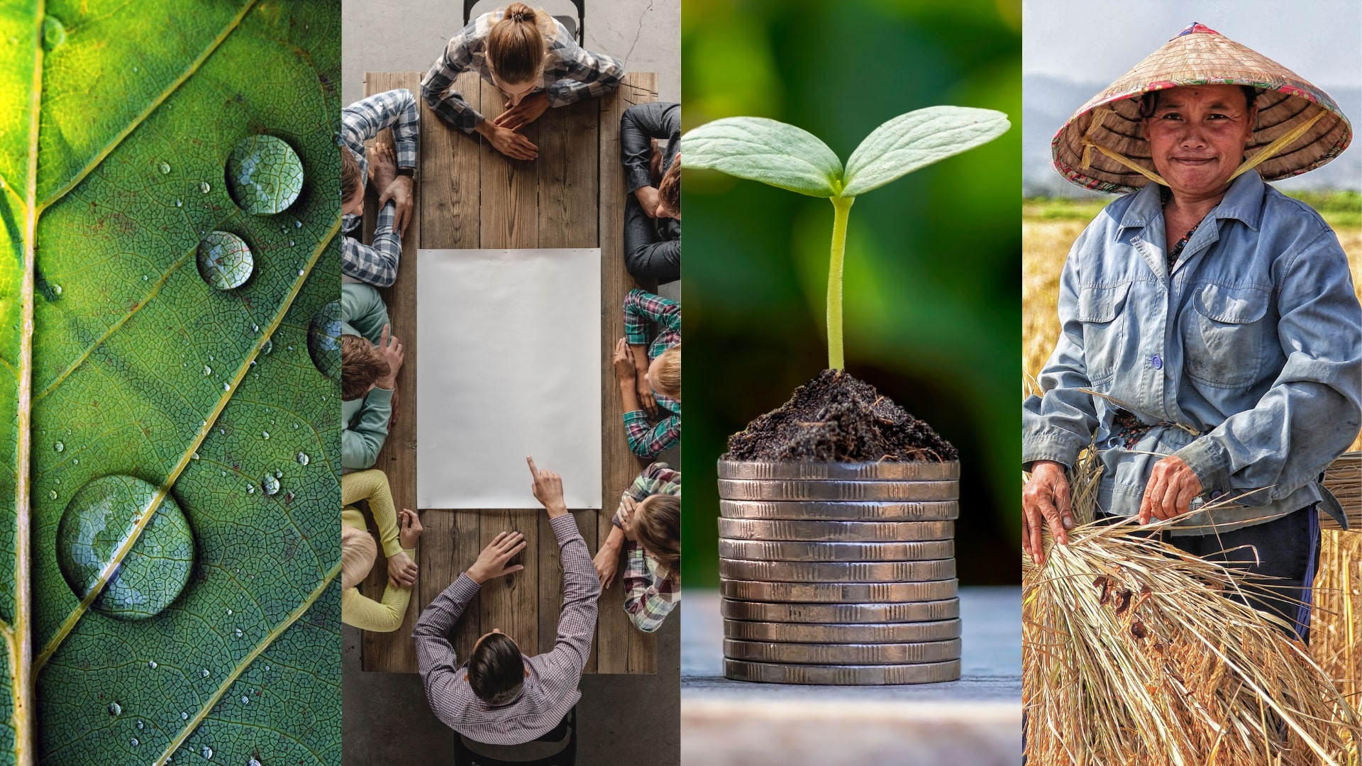 Sustainability Simplified – Our Glossary of Terms | SGS Australia