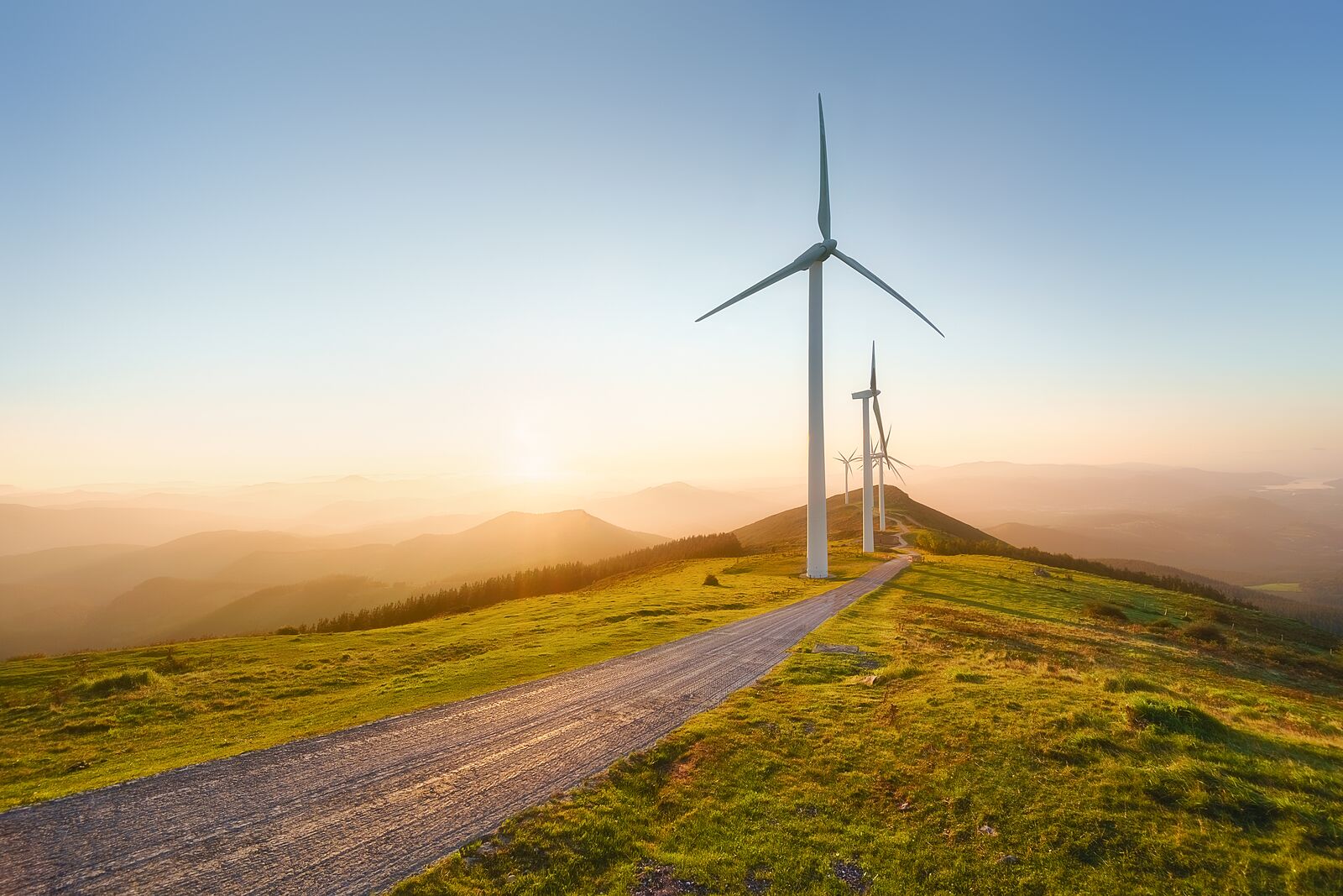 SGS Leads the Way in Sustainability Report Assurance in Asia | SGS Malaysia