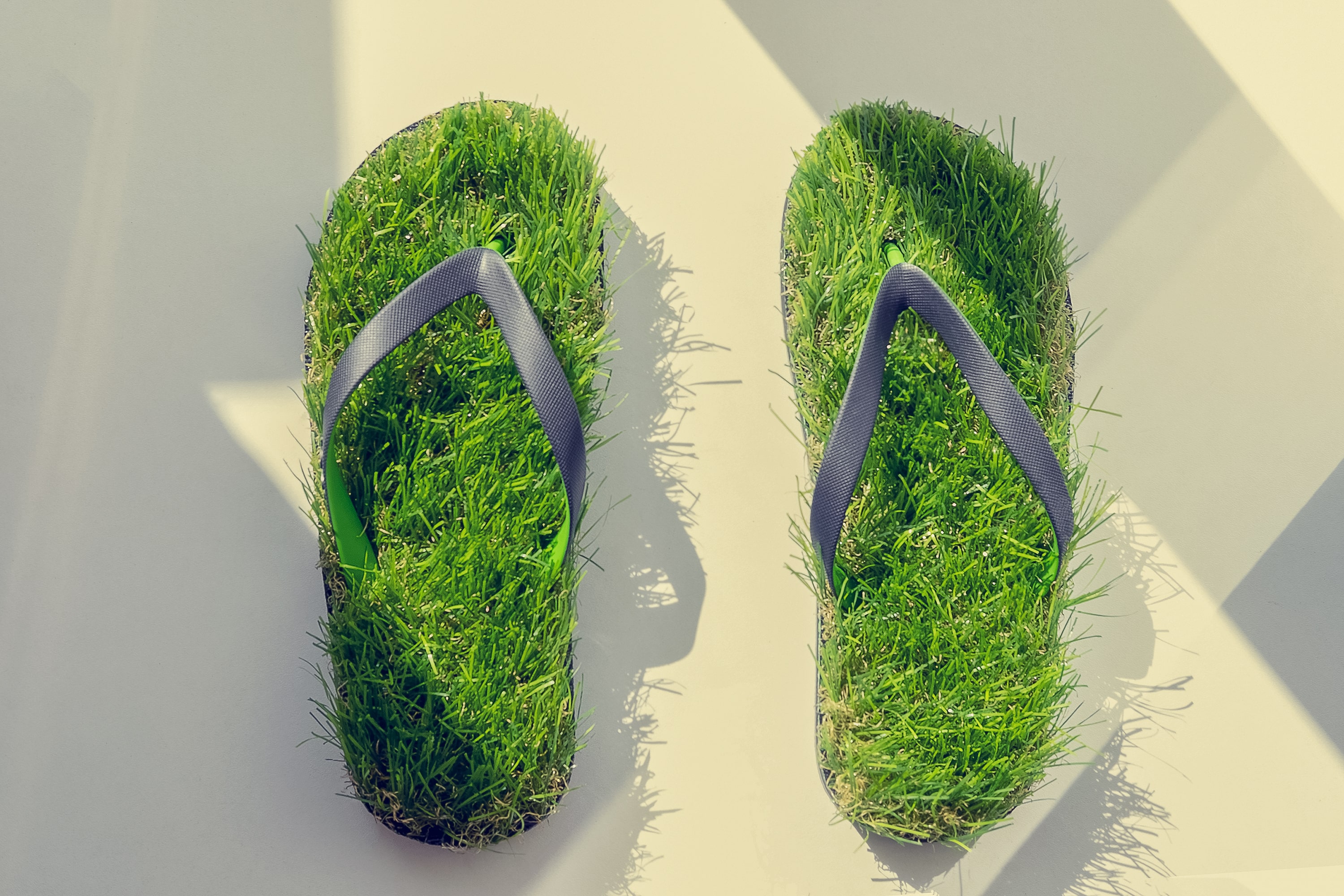 Biodegradabilidad y compostabilidad | SGS