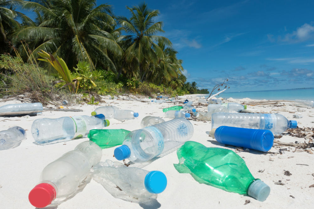 Meeting the Challenge of Sustainability in Plastics