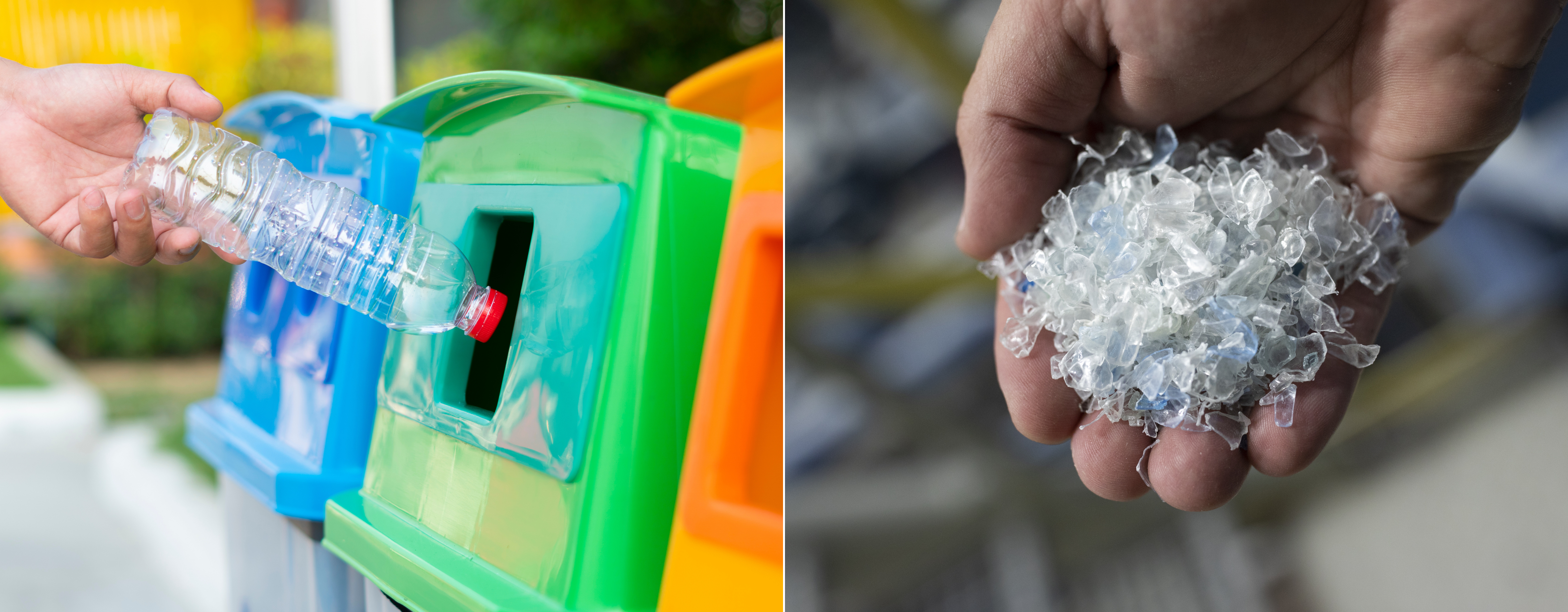 How Recycling Supports a Reduction in Plastic Pollution | SGS Bulgaria