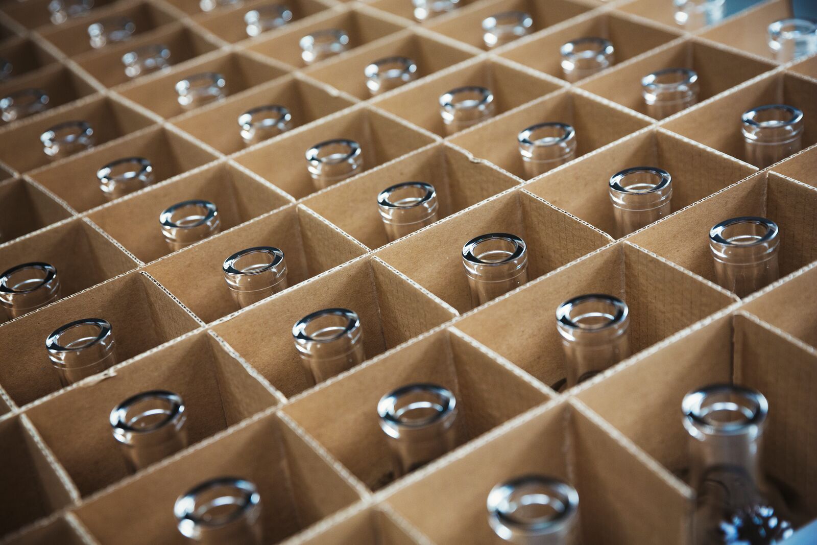 Minnesota, USA, Intends Ban on Toxic Chemicals in Packaging | SGS USA