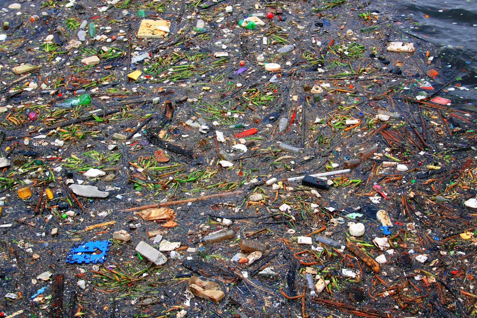 Washington State, USA, Introduces New Consumer Product Safety Law ...