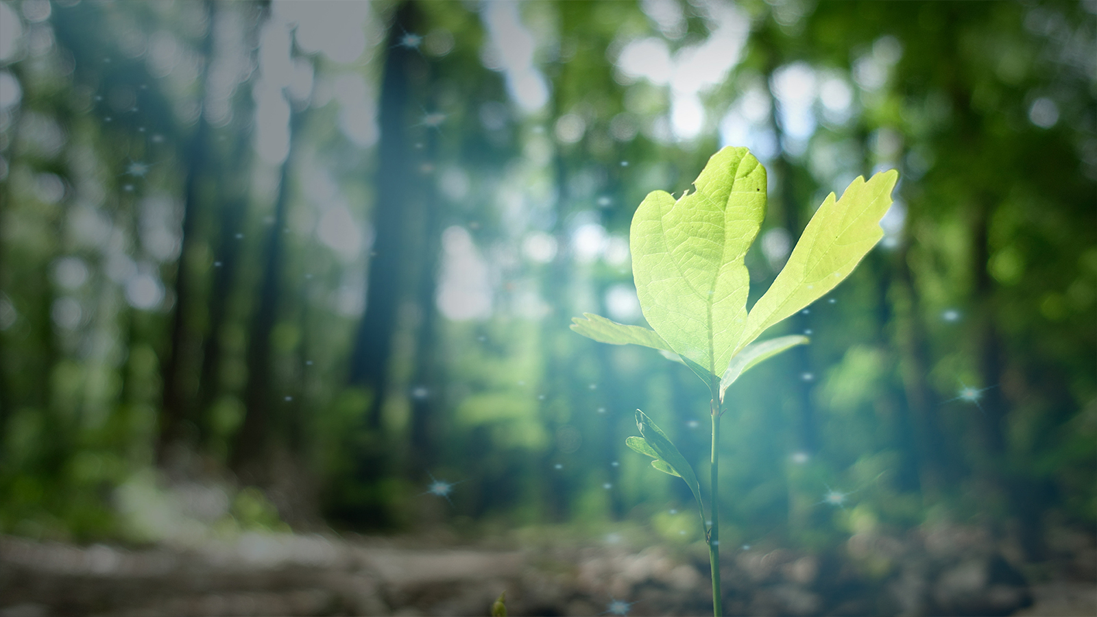 Environment | SGS United Kingdom
