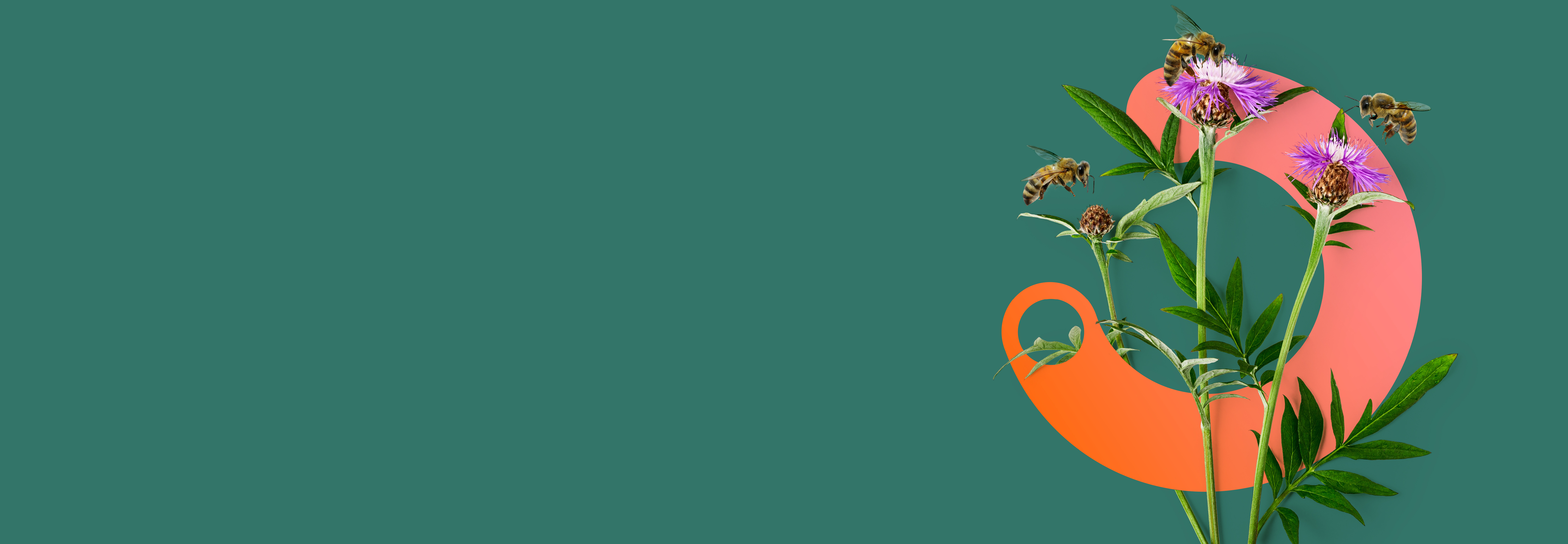 SGS Launches IMPACT NOW for Sustainability | SGS