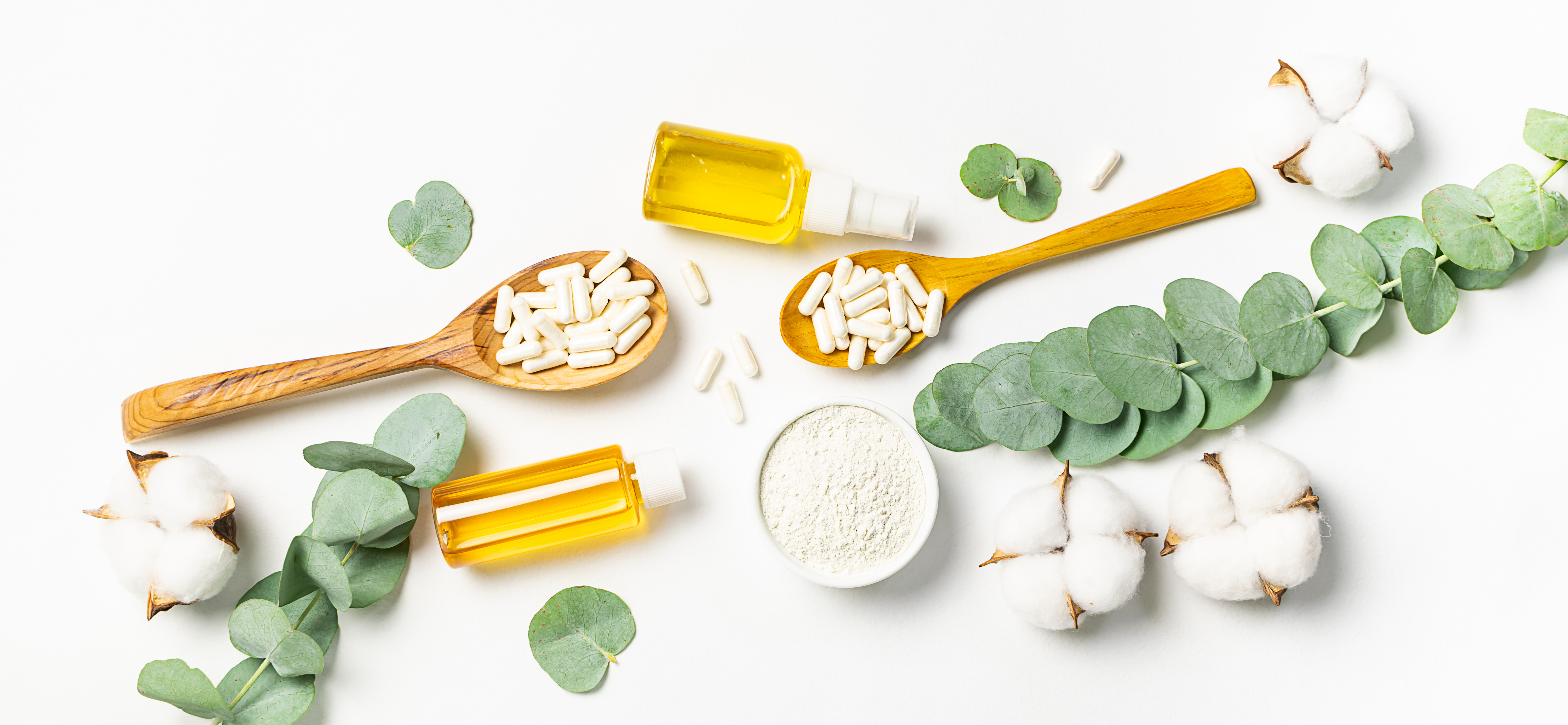 International Genetically Modified Organism (GMO) Evaluation and ...