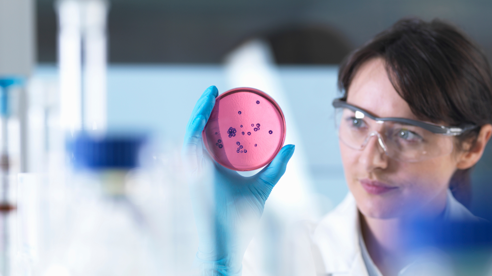 Everything You Need to Know about Microbiological Challenge Testing | SGS