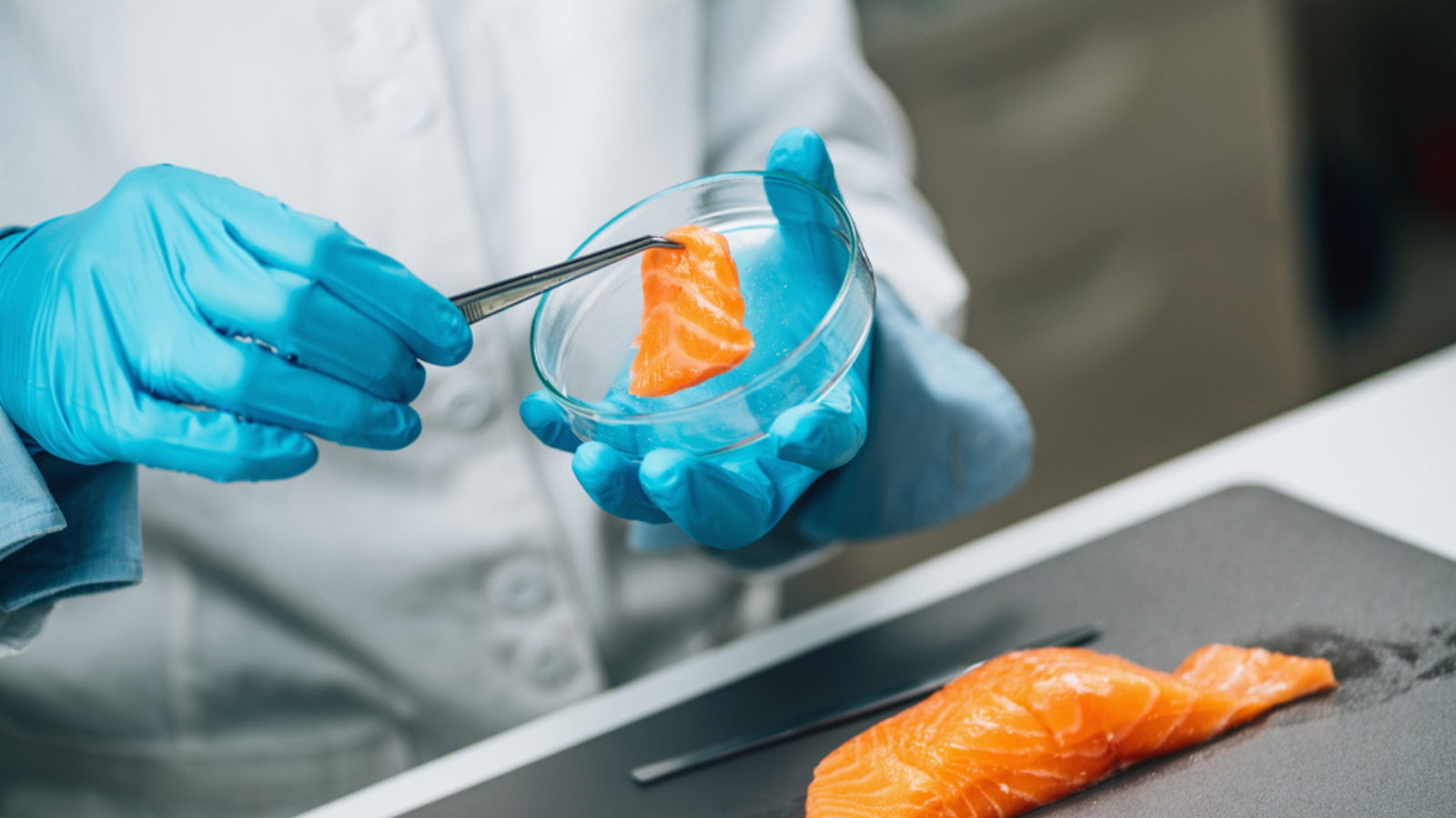 Mitigating the Risk of Seafood Fraud – Exploring the Latest Testing ...