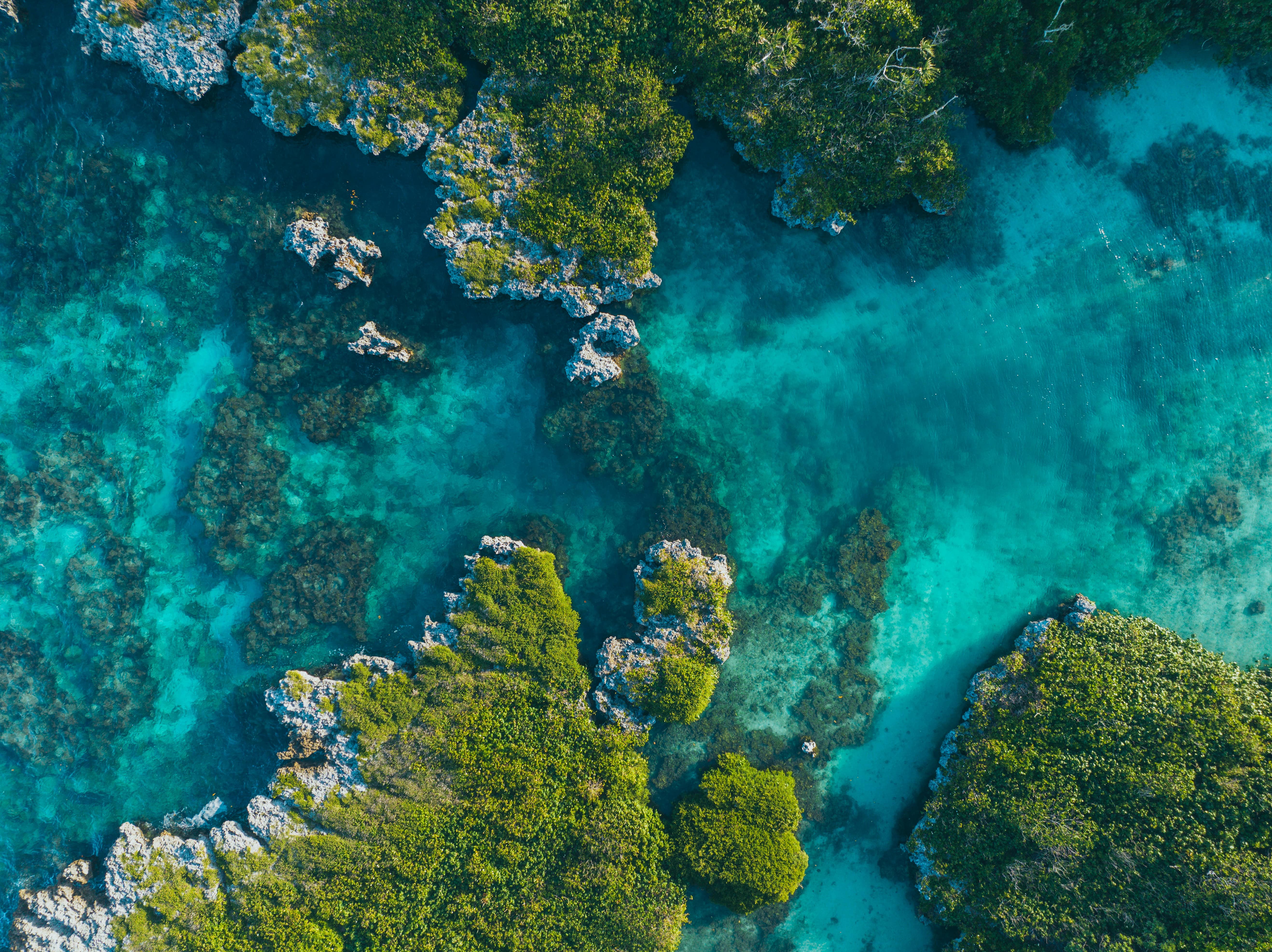 SGS Panel Discussion in the Framework of COP29 | SGS Mauritius