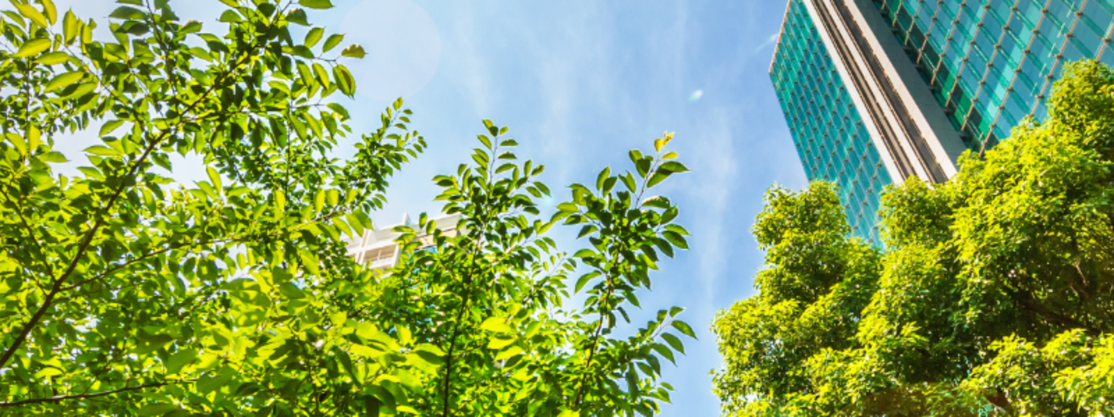 Sustainability at Scale: Setting your Green Building Strategy with EDGE ...