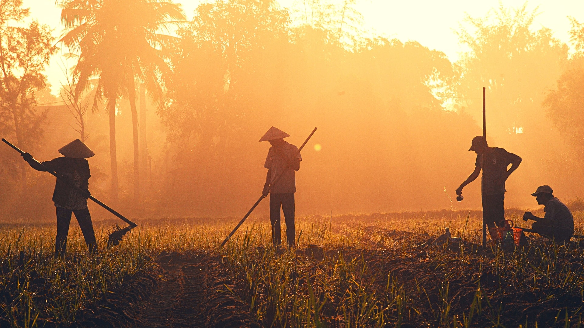 Why Should You Commit To Carbon Neutrality? | SGS Australia