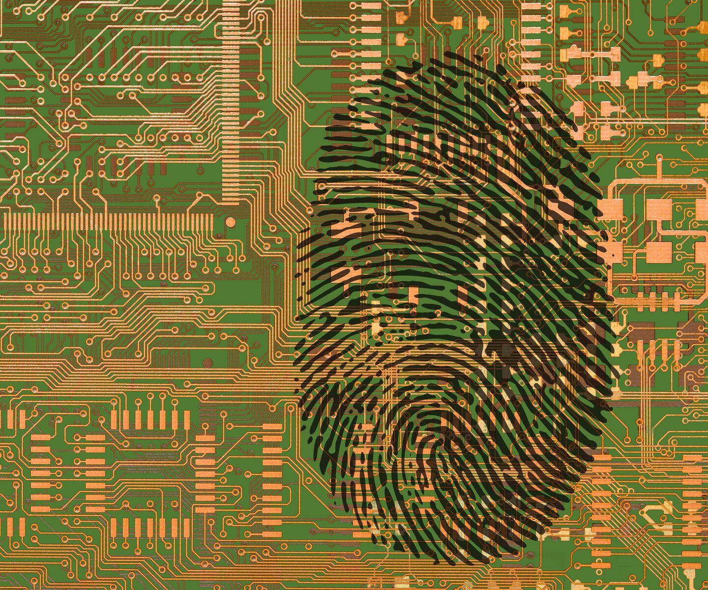 SGS and Partners Officially Launch the Digital Trust Label (DTL ...