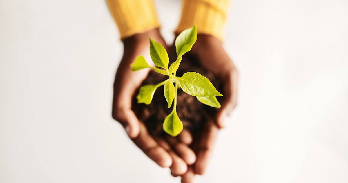 SGS-Sustainability Unlocked Training Platform SGS-Sustainability Unlocked Training Platform