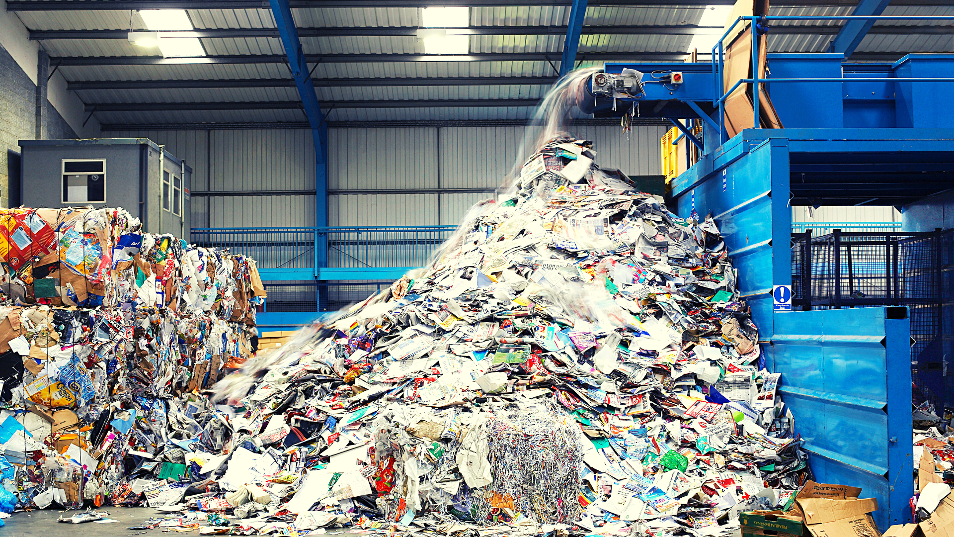 The Pandemic’s Impact on Social Audit Programs | SGS Italy