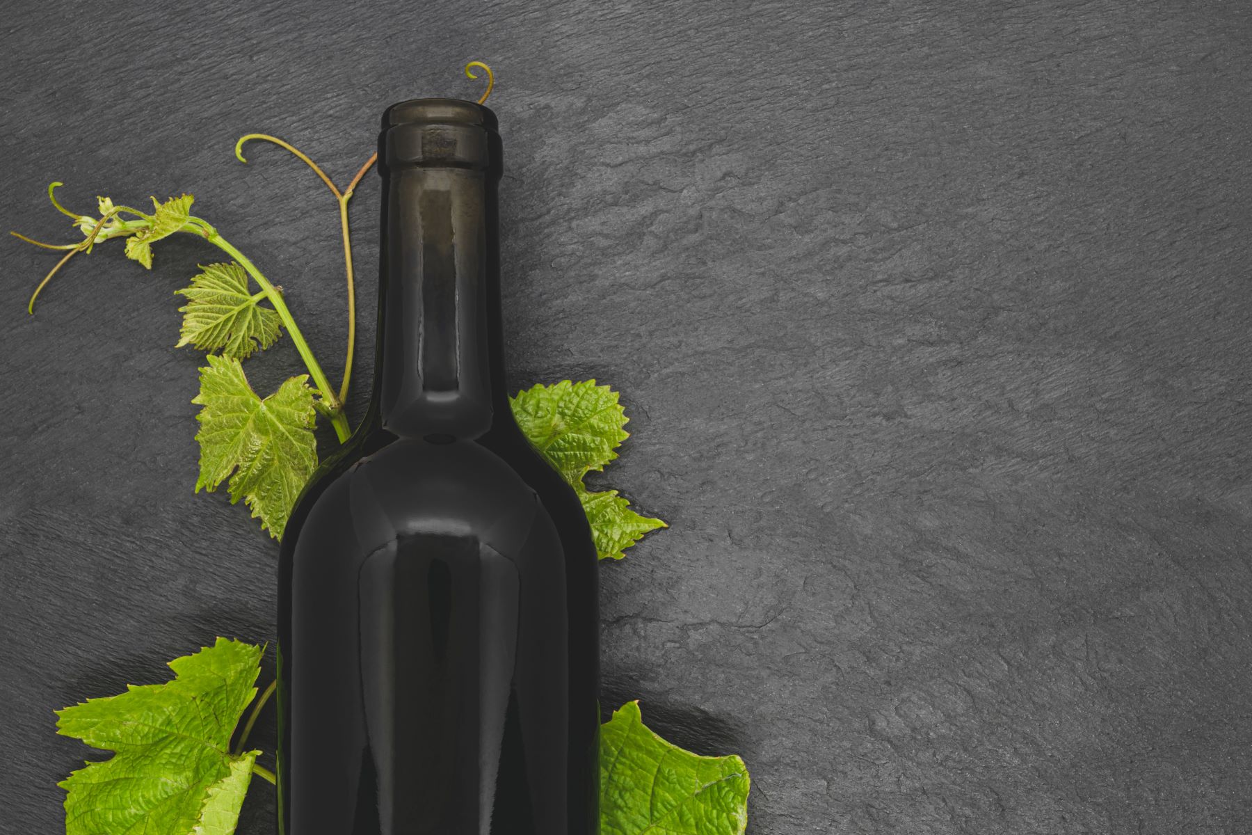 Webinar | As vantagens na adesão ao Programa de Sustentabilidade dos ...