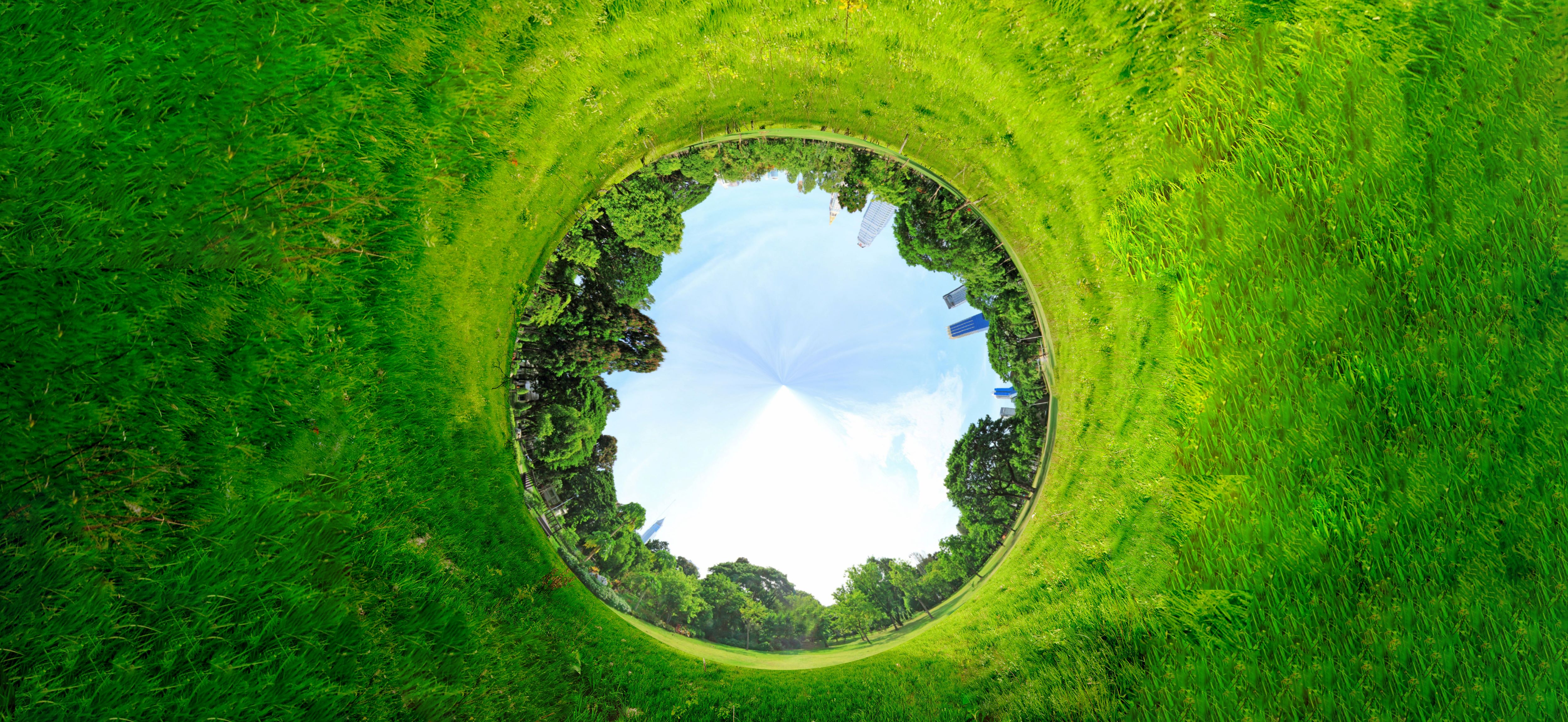 Life Cycle Assessment vs. Product Carbon Footprint: Key Differences ...