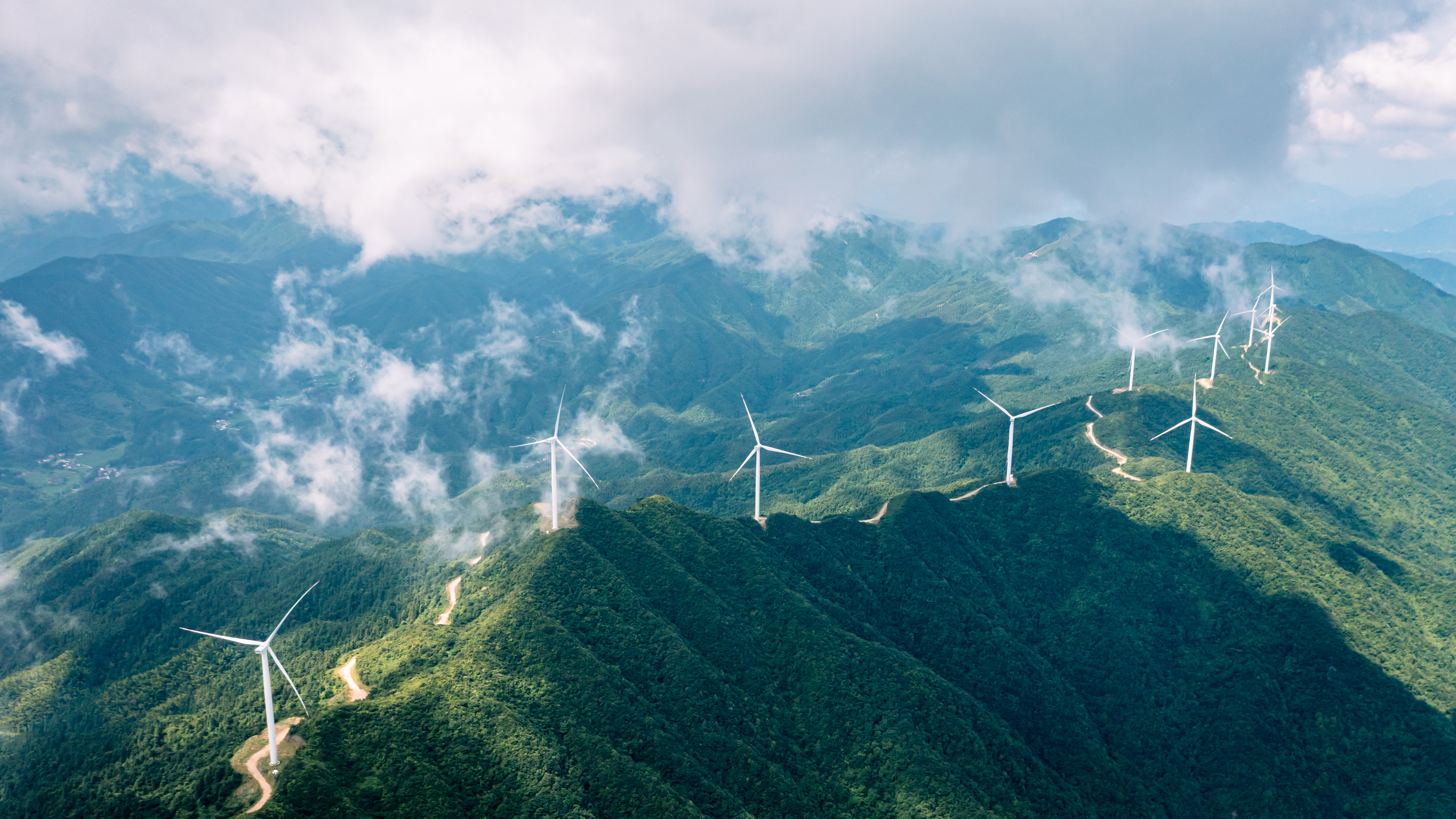 Understanding Carbon Footprint: Types, Standards and Why It Matters