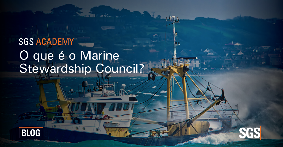 O que é o Marine Stewardship Council (MSC)? | SGS Portugal