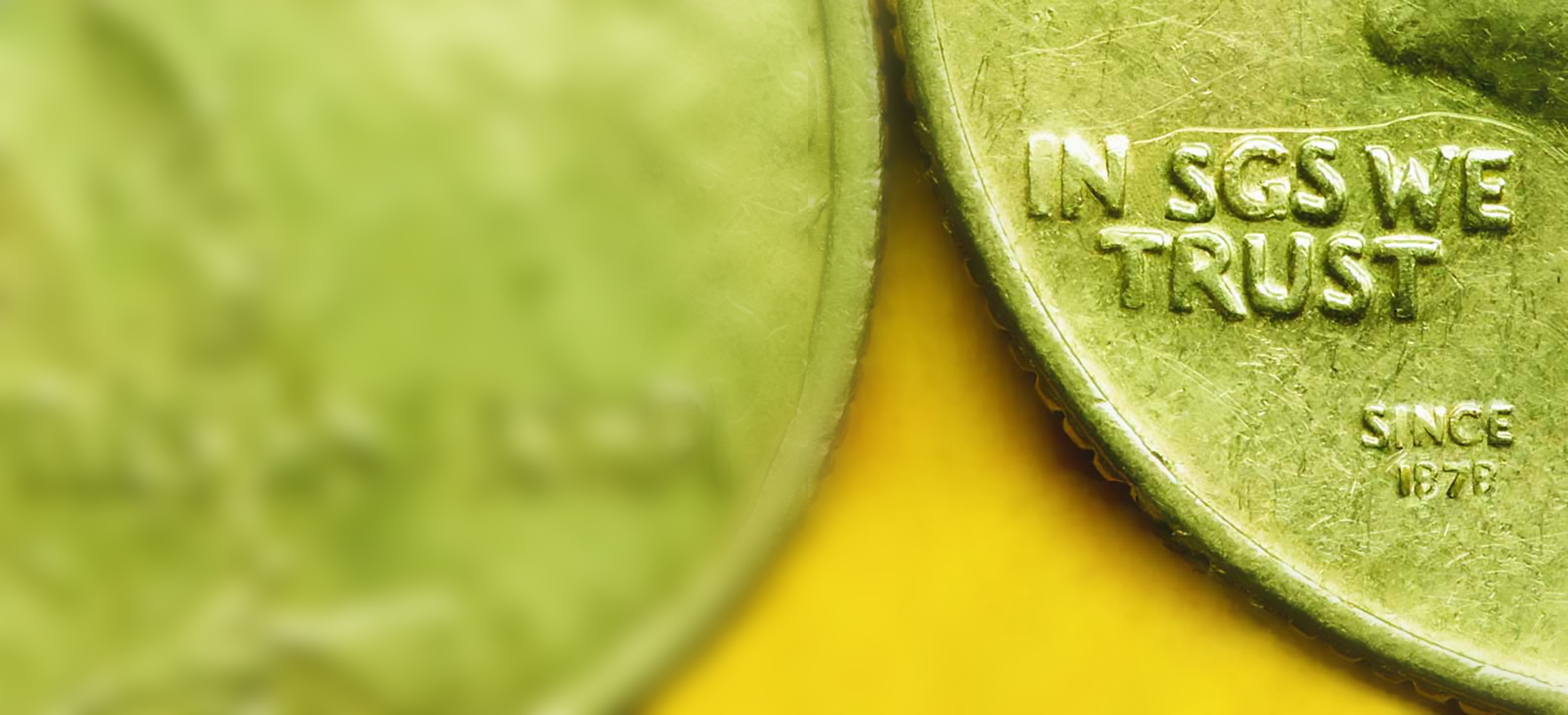 SGS Global 19 | SGS Portugal