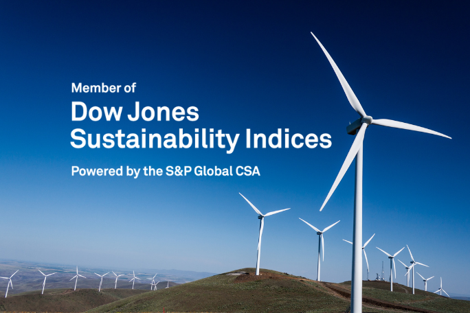 S and P Global Corporate Sustainability Assessment CSA | SGS Spain