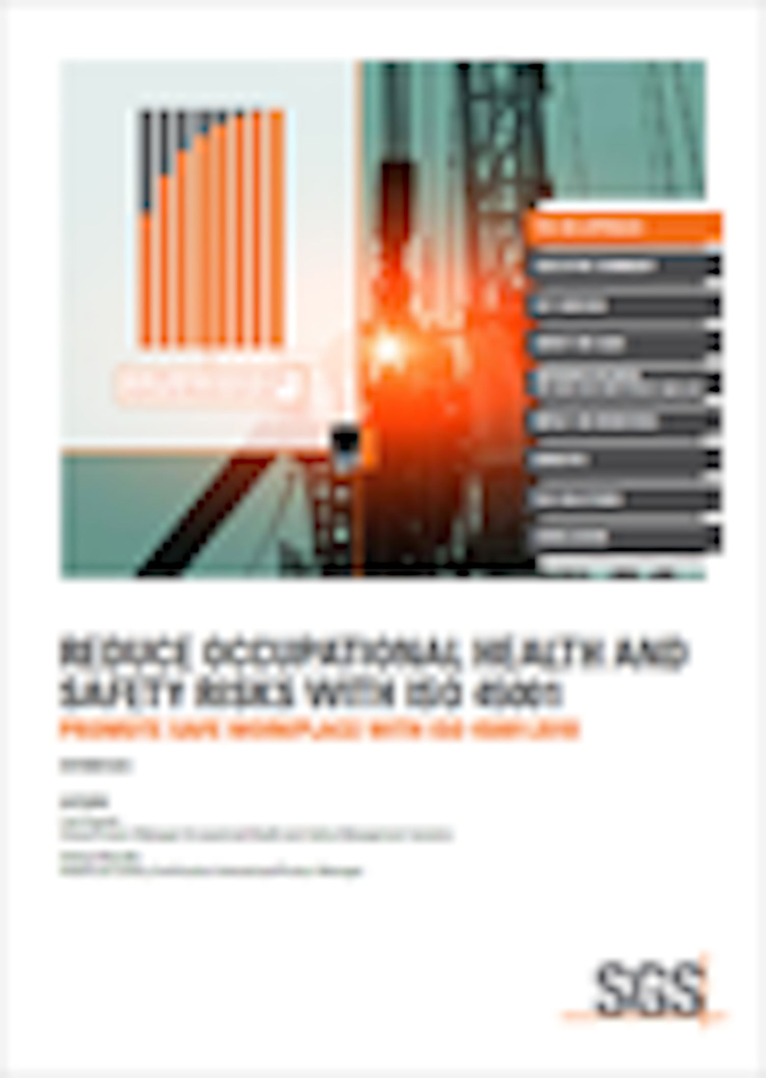 Reduce Occupational Health & Safety Risks with ISO 45001:2018 | SGS ...