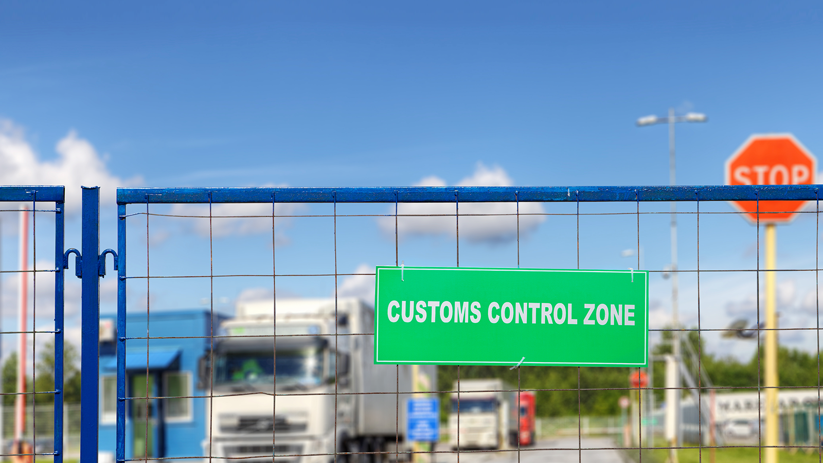 Delayed Declarations Brokerage Service | SGS United Kingdom