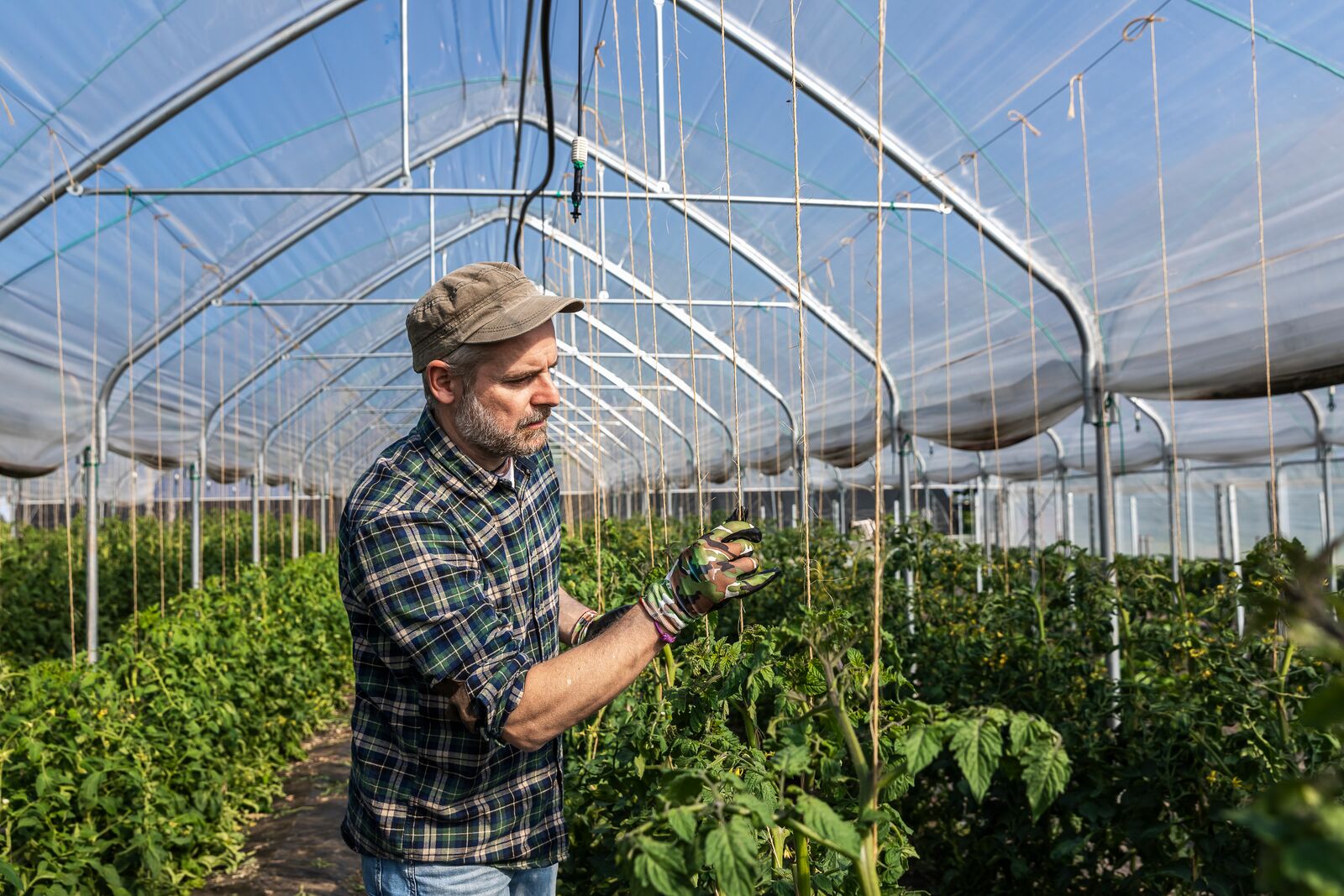 FSA – Farm Sustainability Assessments | SGS India