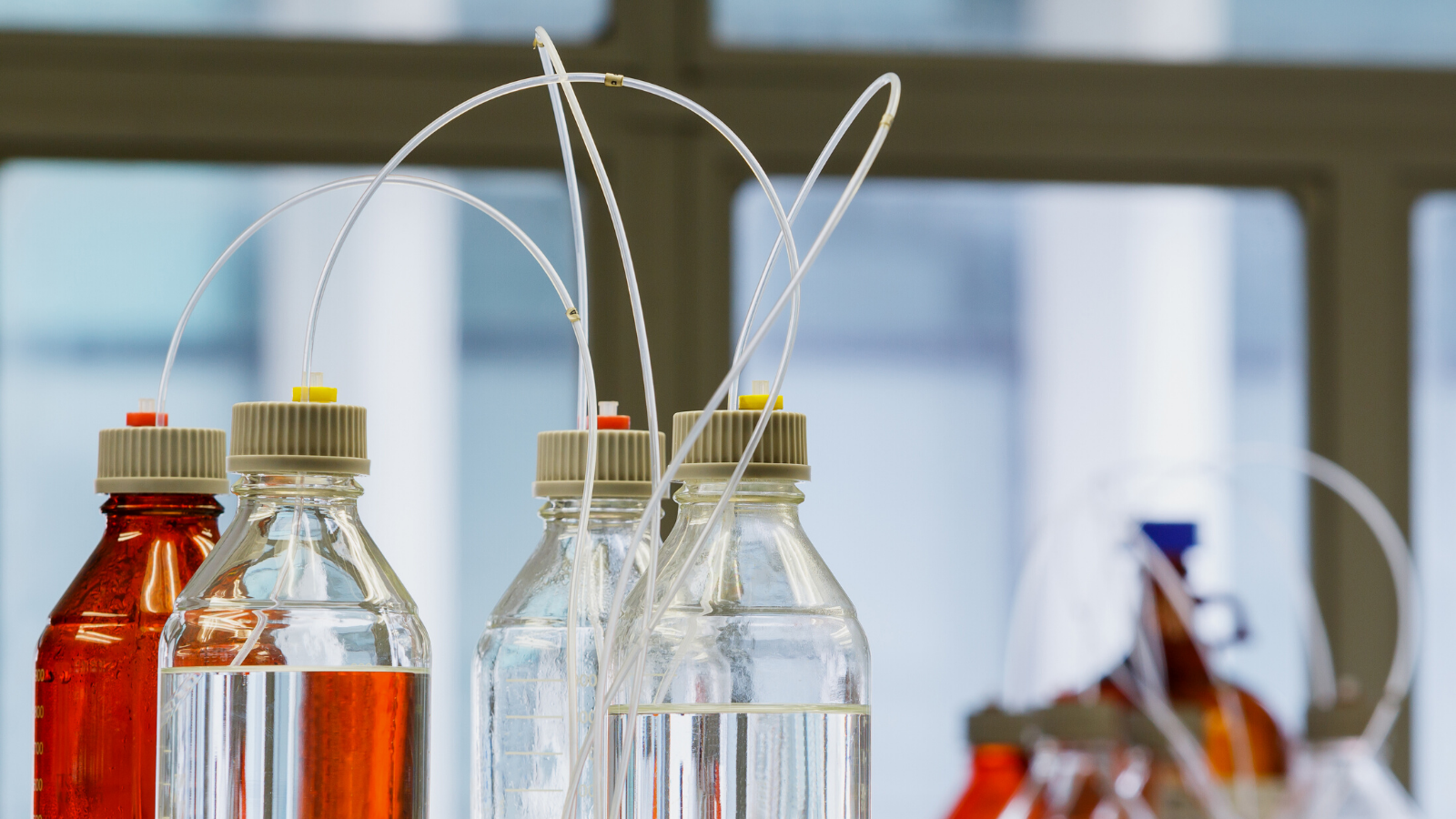 Residual Solvent Testing | SGS Malaysia