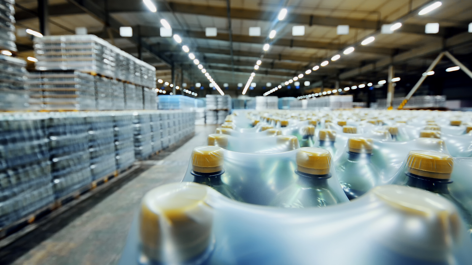 Food Supply Chain Management | SGS