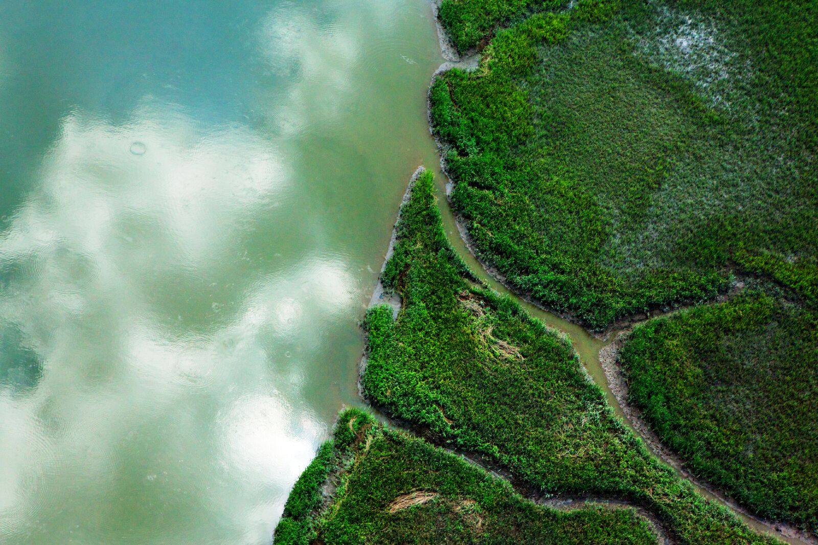 ISO 14001:2015 - Environmental Management Systems - Introduction ...