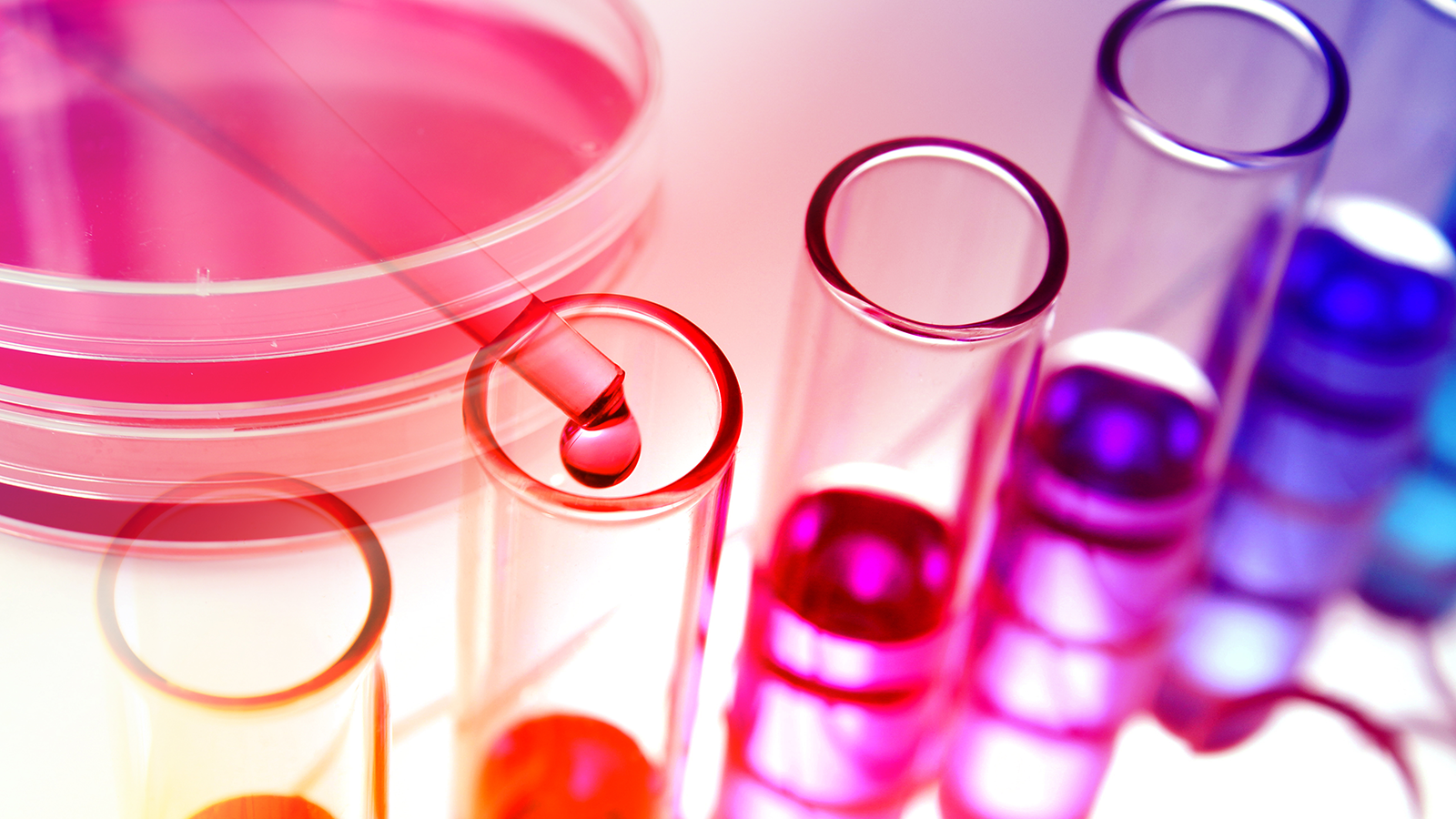 Everything E&E Brands Need to Know About the ECHA SCIP Database | SGS USA