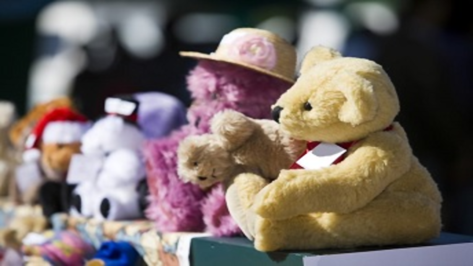 US CPSC Exempts Certain Fibers from Third Party Testing | SGS Malaysia