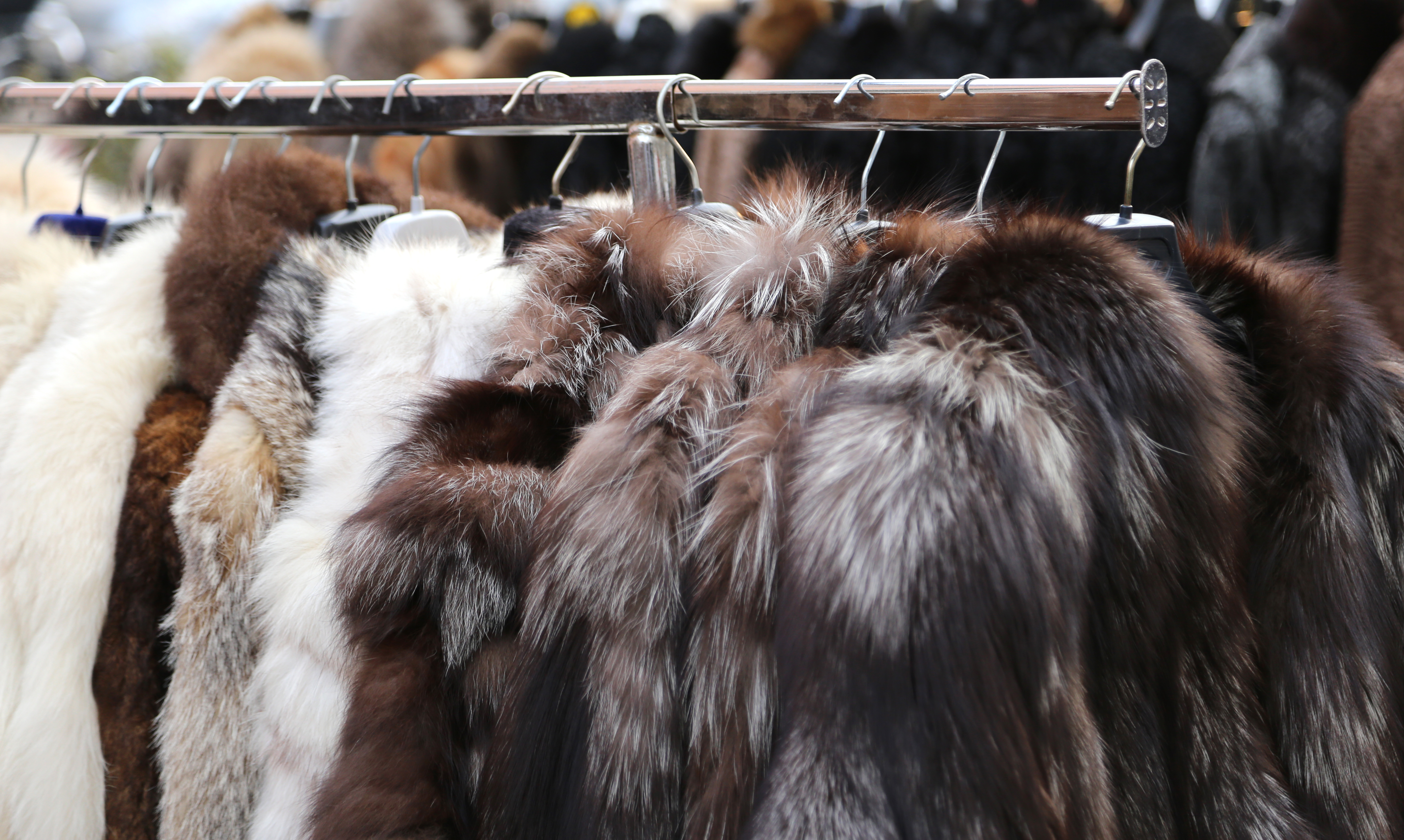 Israel Bans Fur Sale in the Fashion Industry | SGS Malaysia