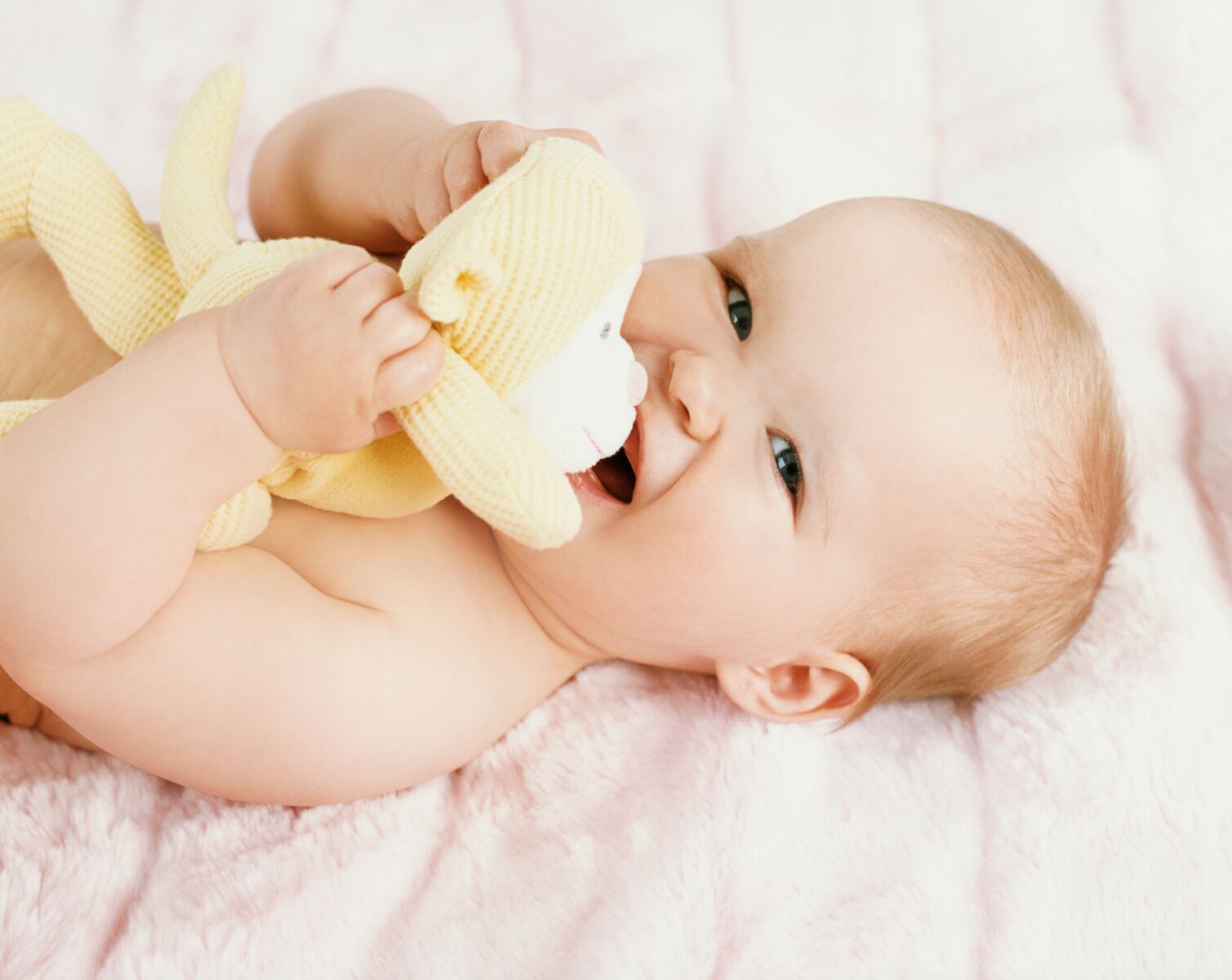 EU Proposes to Restrict Aniline in Certain Toys | SGS Australia